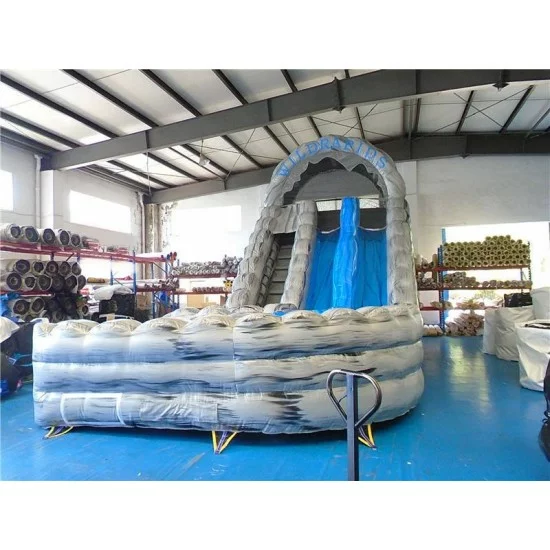 Wild Rapids Waterslide, Cheap Wild Rapids Waterslide For Sale ...